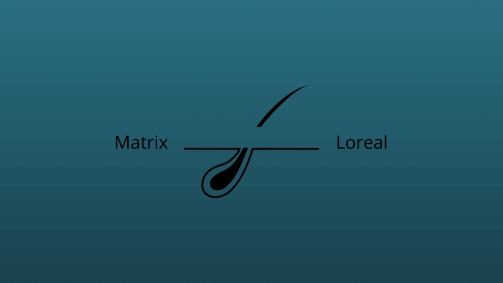 Perbandingan Smoothing Matrix dan Loreal Mana yang Bagus? - GemaRakyat.id